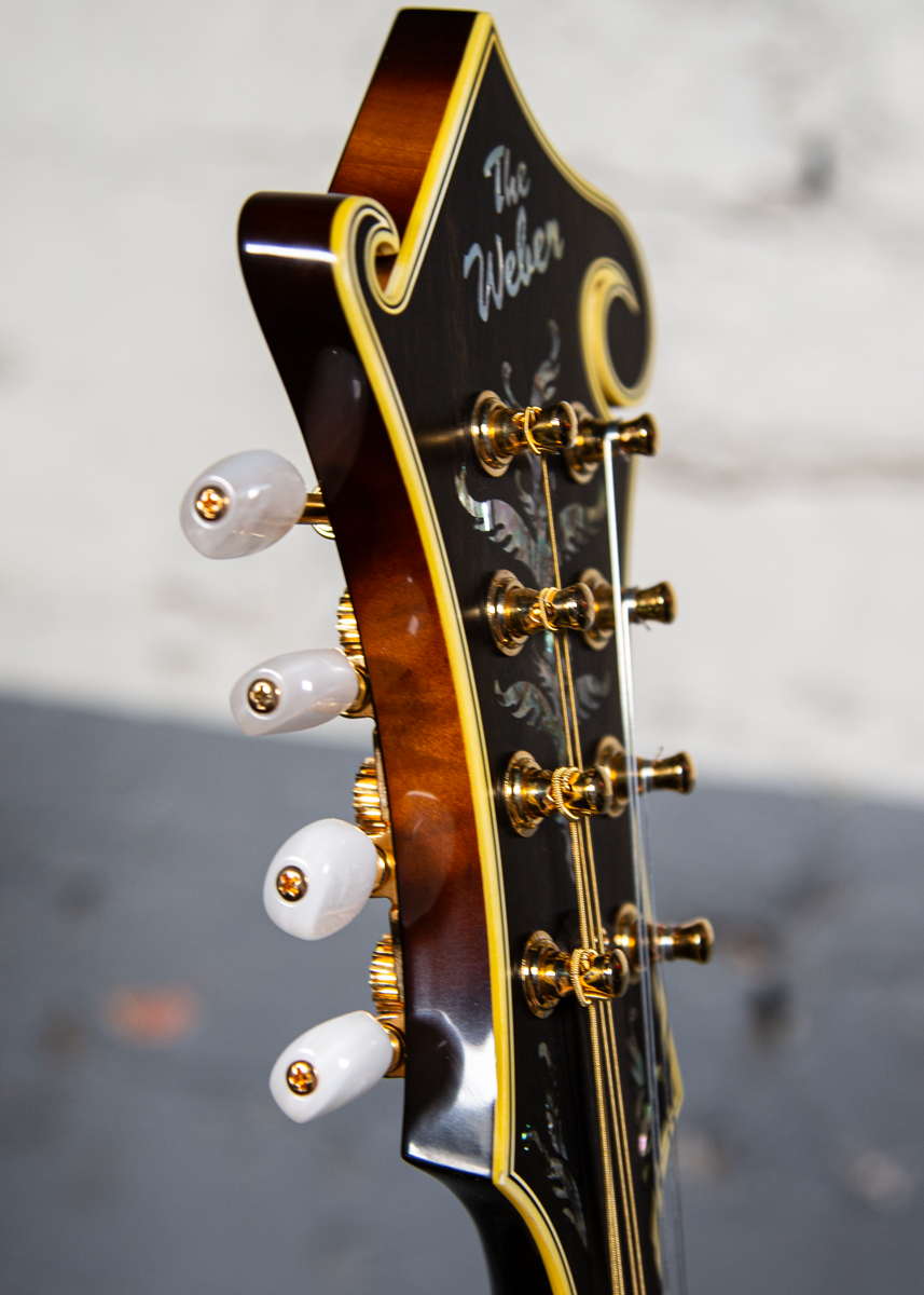 Weber Fern F-Style Mandolin | Area 22 Guitars | Area 22 Guitars